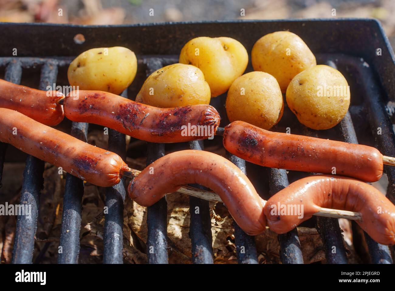 Delicious sausages and potatoes roasting over an open fire, with a ...