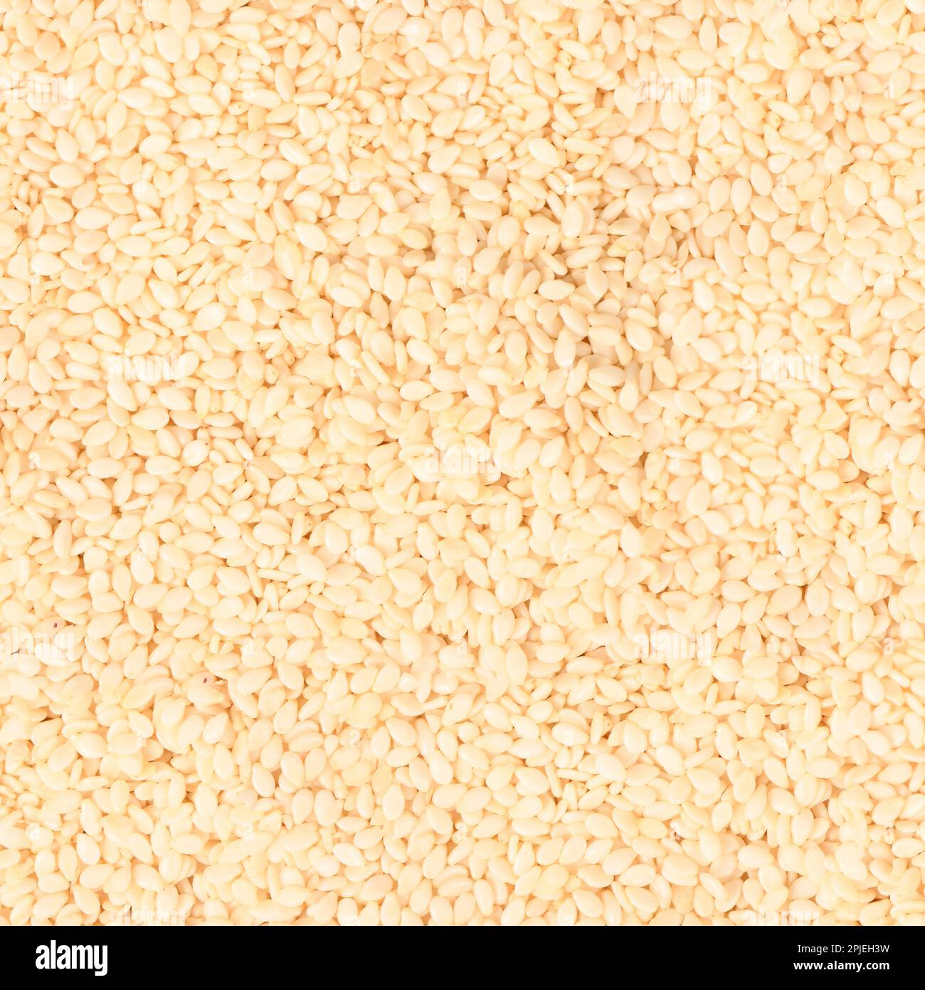 Seamless texture or wallpaper, Sesame seeds from above. High resolution ...