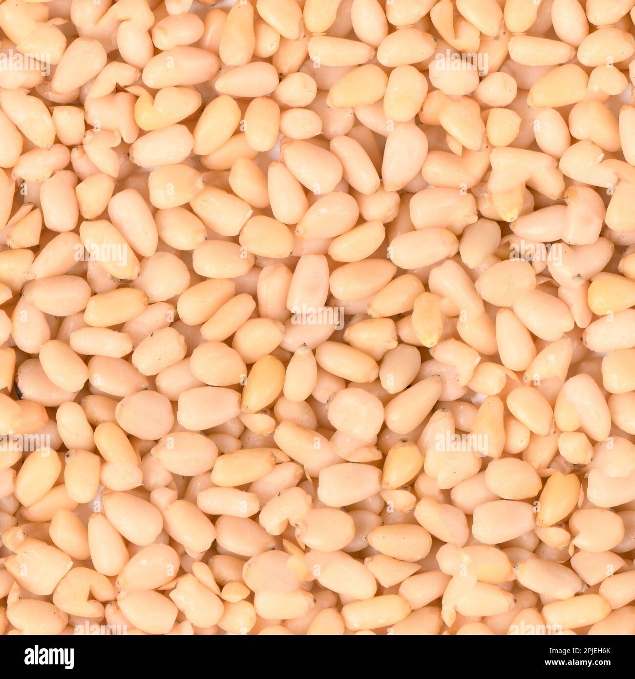 Seamless texture or wallpaper, Pine nuts top view. High resolution ...