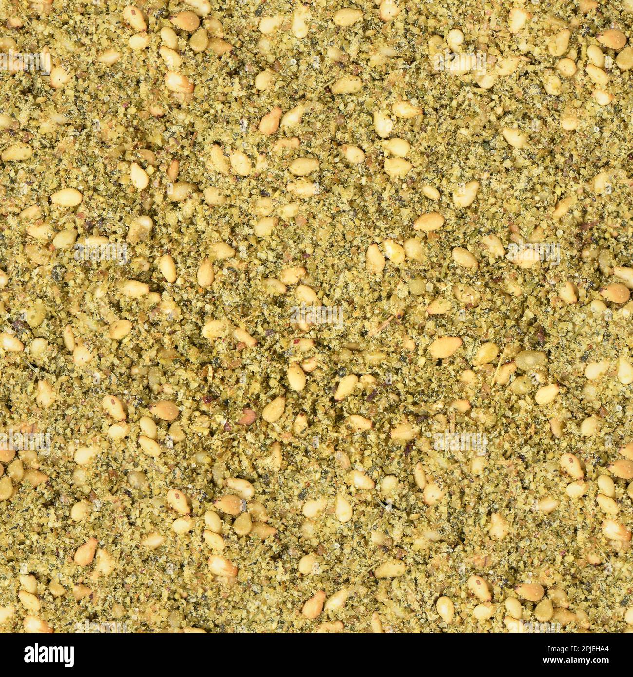 Seamless texture or wallpaper, Za'atar (zatar), blend of herbs, sesame ...
