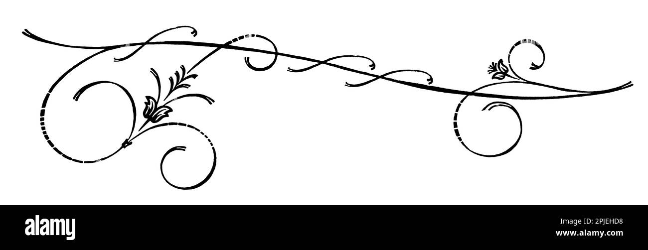 Decorative oblong design with floral elements and vignettes. graphic ...