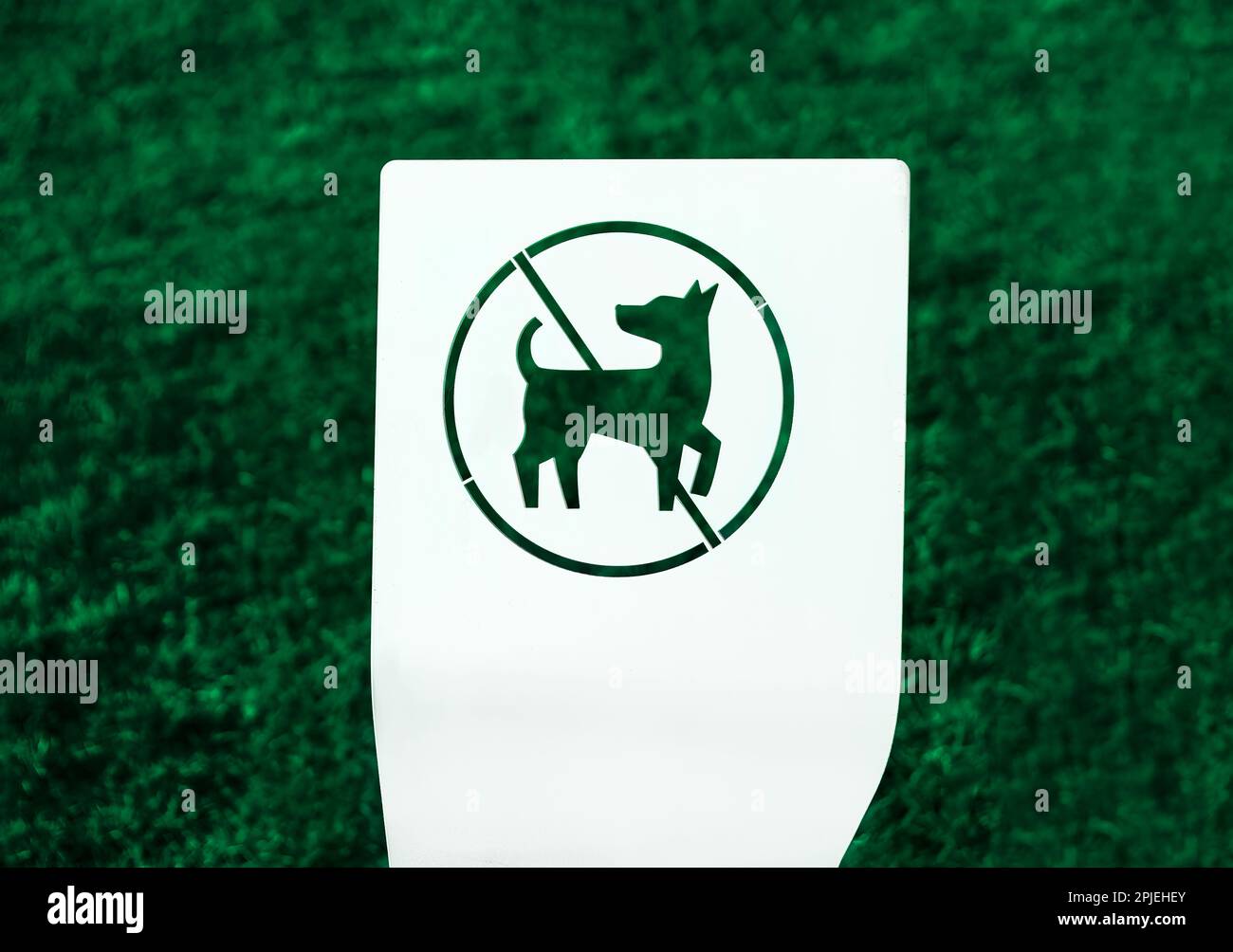 Dog Forbidden Sign . No dogs allowed Stock Photo - Alamy