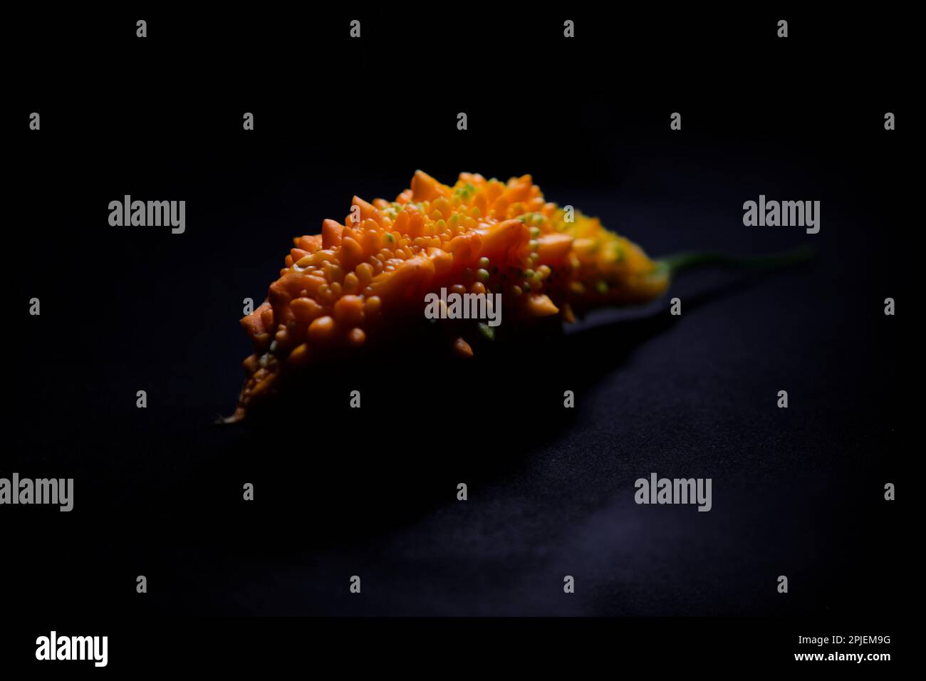Full ripen Bitter Gourd turned orange with natural colors, home garden ...