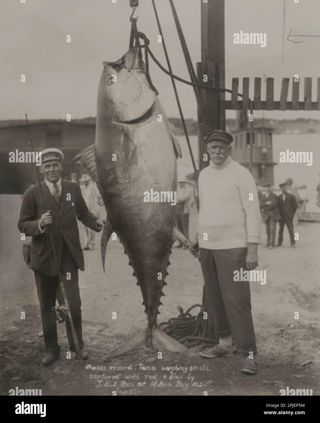 Ross with his catch, the largest tuna (680 lbs) in the world ever ...
