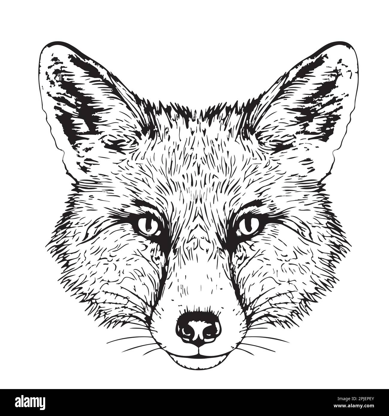 Fox portrait sketch hand drawn in doodle style illustration Stock ...