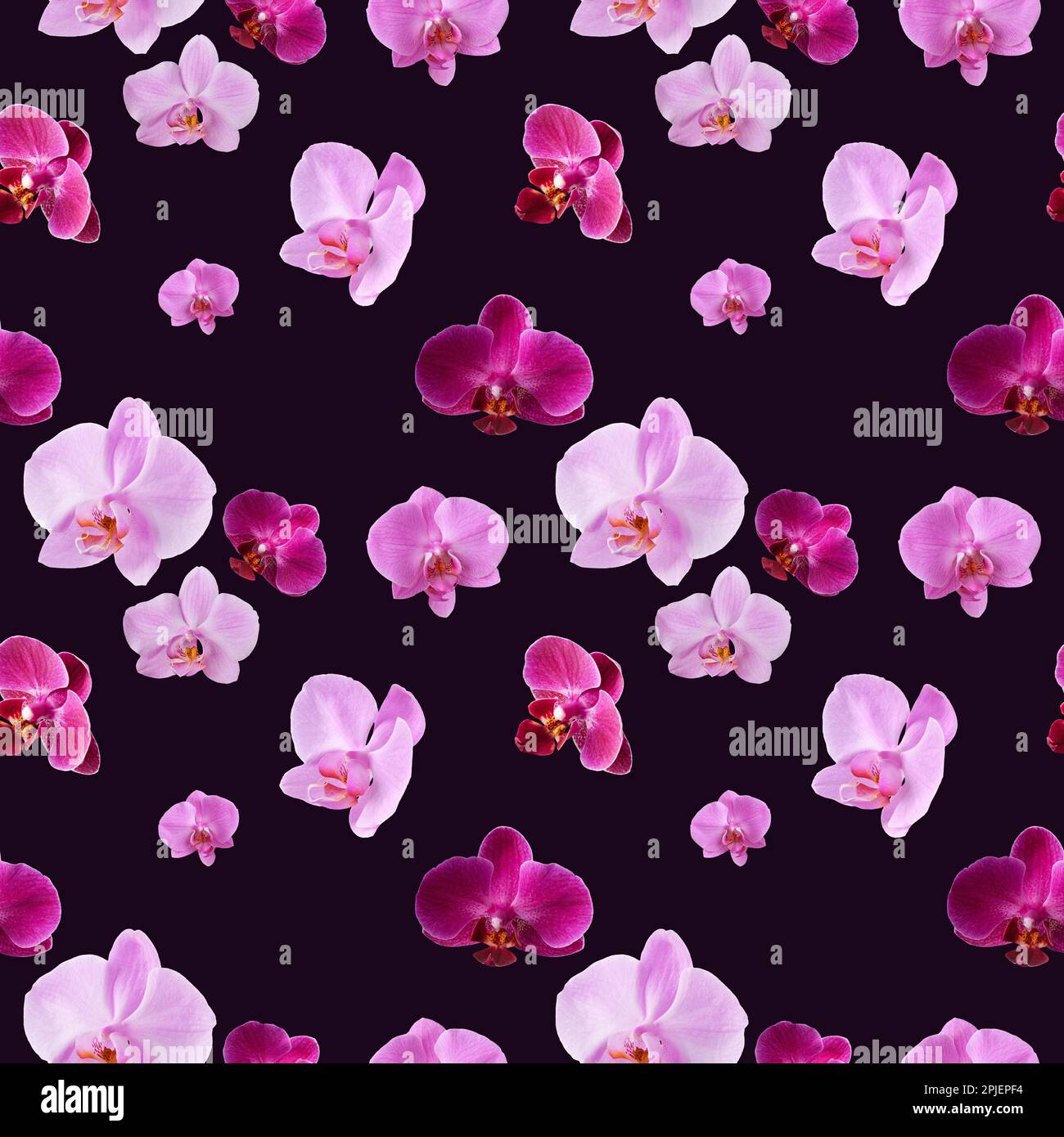 Beautiful seamless pattern of orchid flowers. Orchids pattern for ...