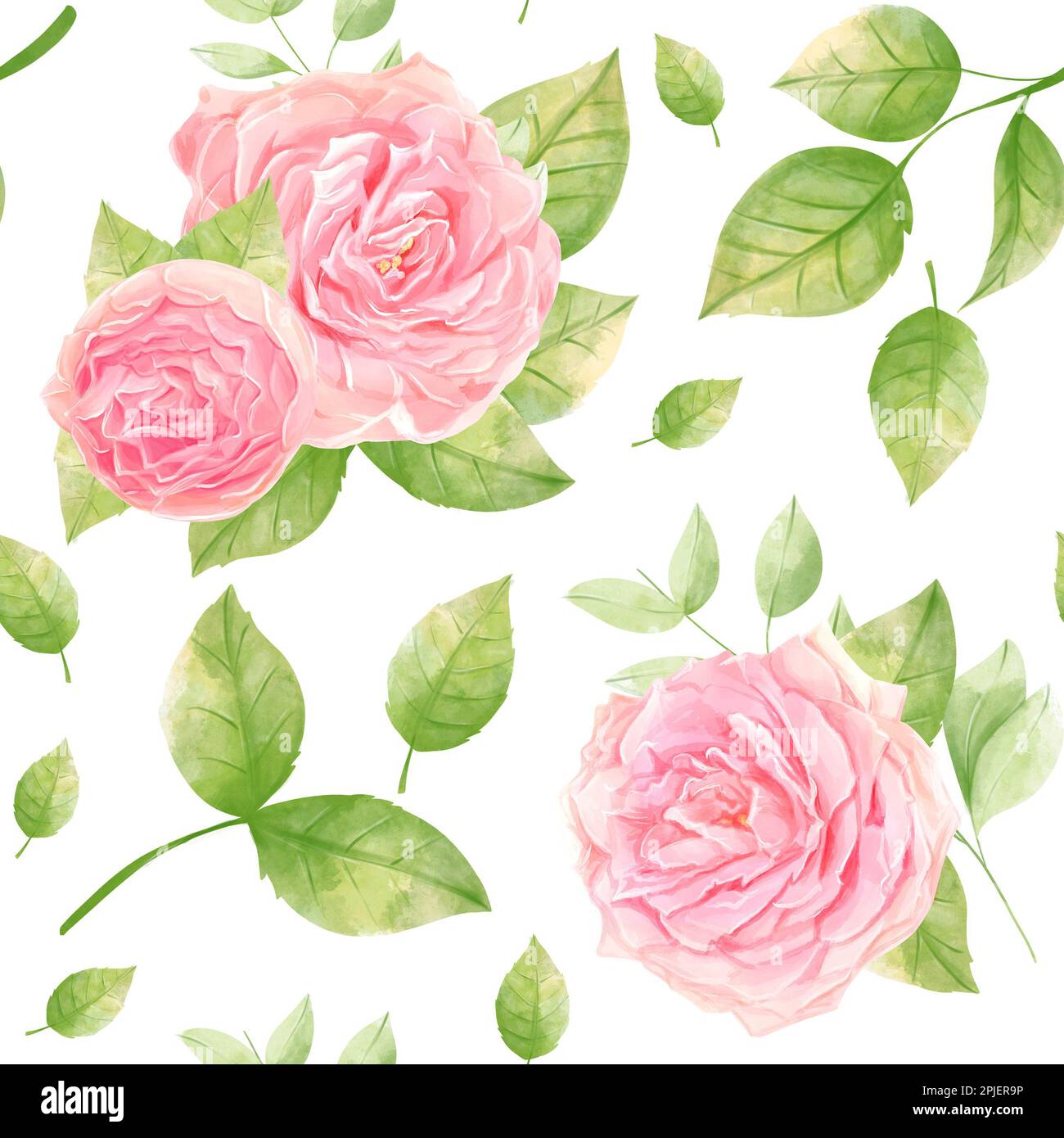 Pink Roses watercolor Romantic pattern Printable design Stock Photo - Alamy