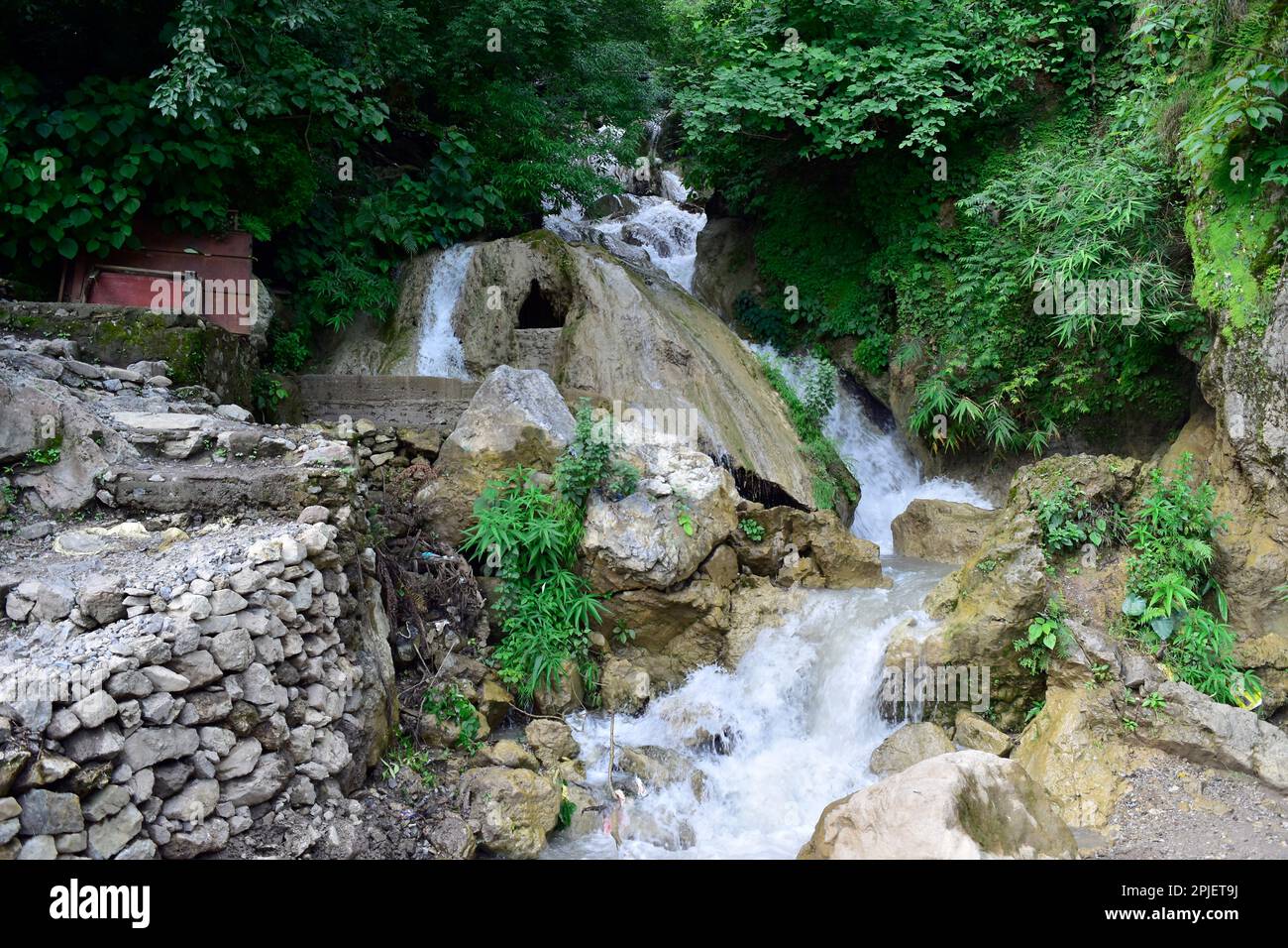 Water flowing from natural water resources in forest Stock Photo - Alamy