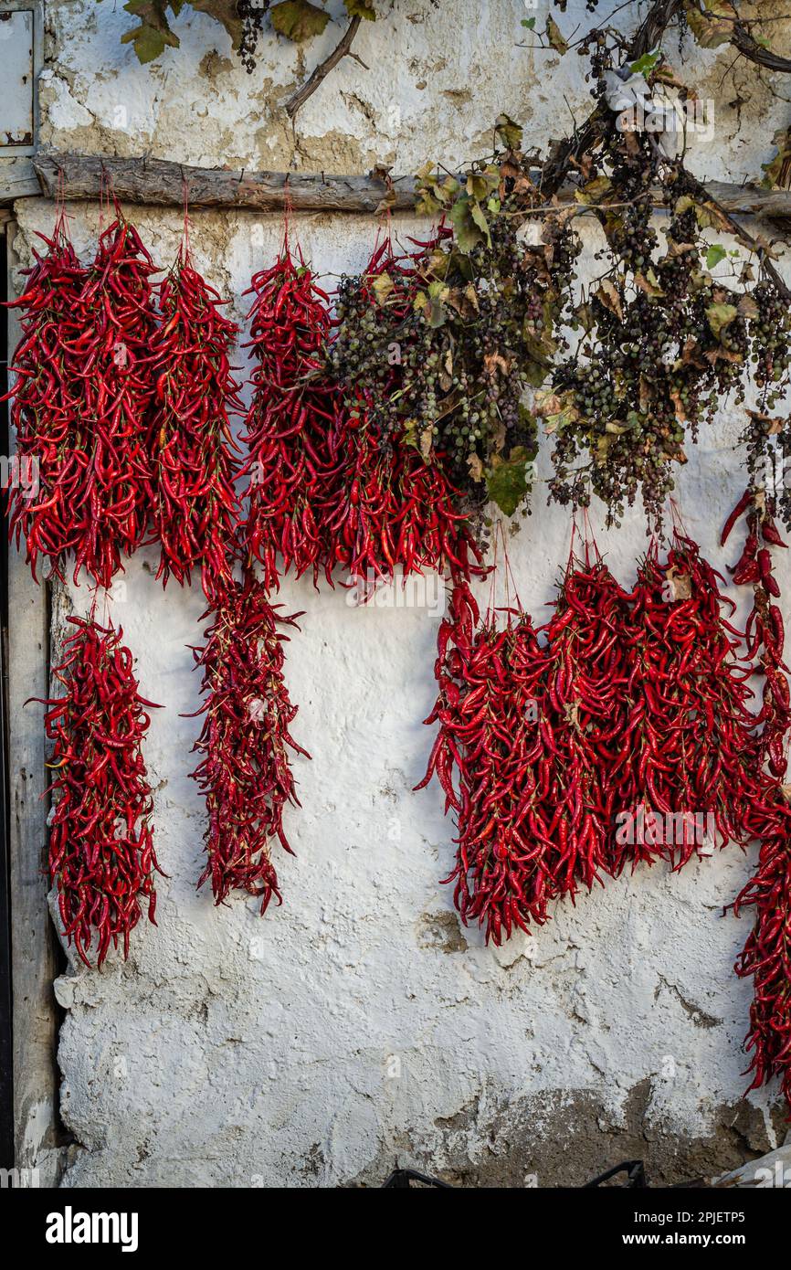 Red peppers hanged against wall of a village house in Turkey, Bilecik ...