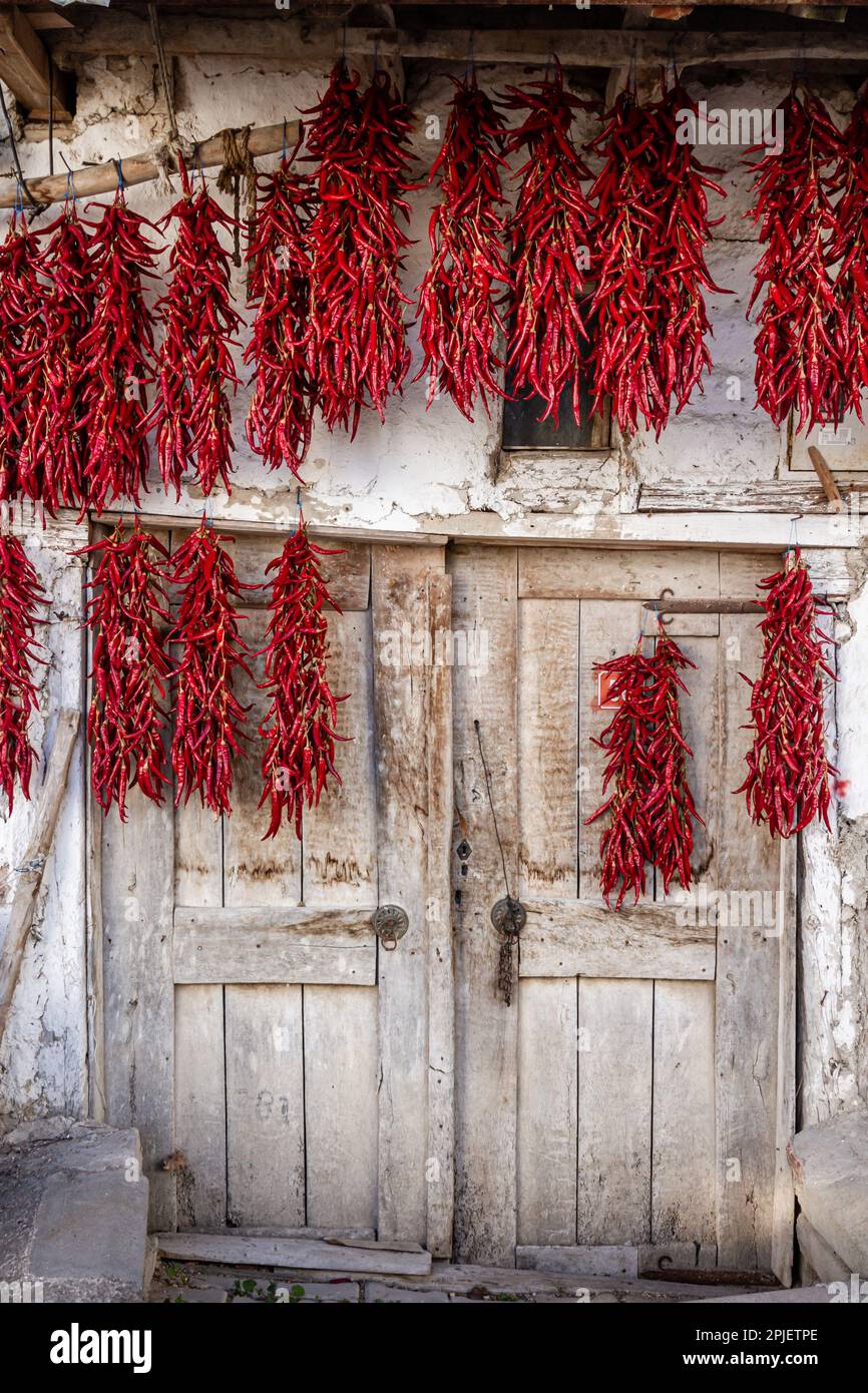 Unique wall vegetable hi-res stock photography and images - Alamy