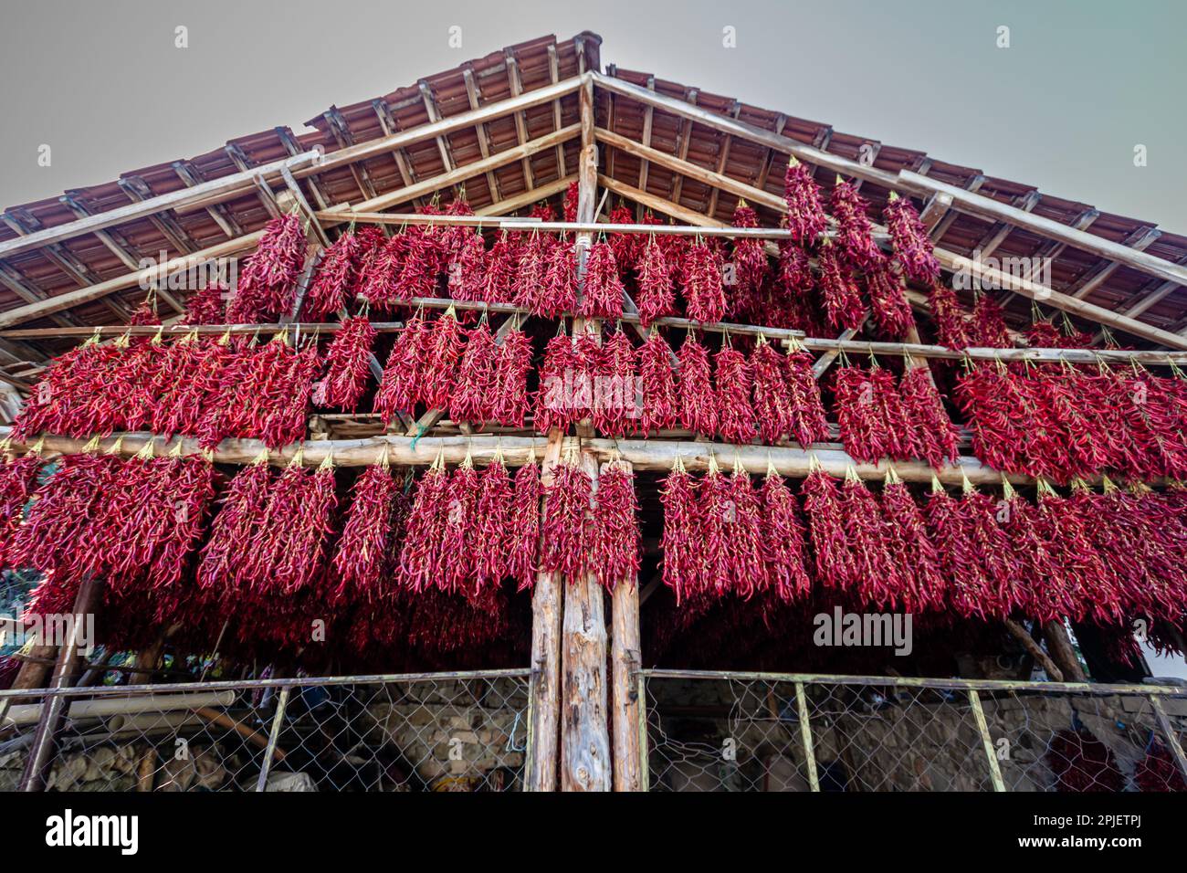 Red peppers hanged against wall of a village house in Turkey, Bilecik ...