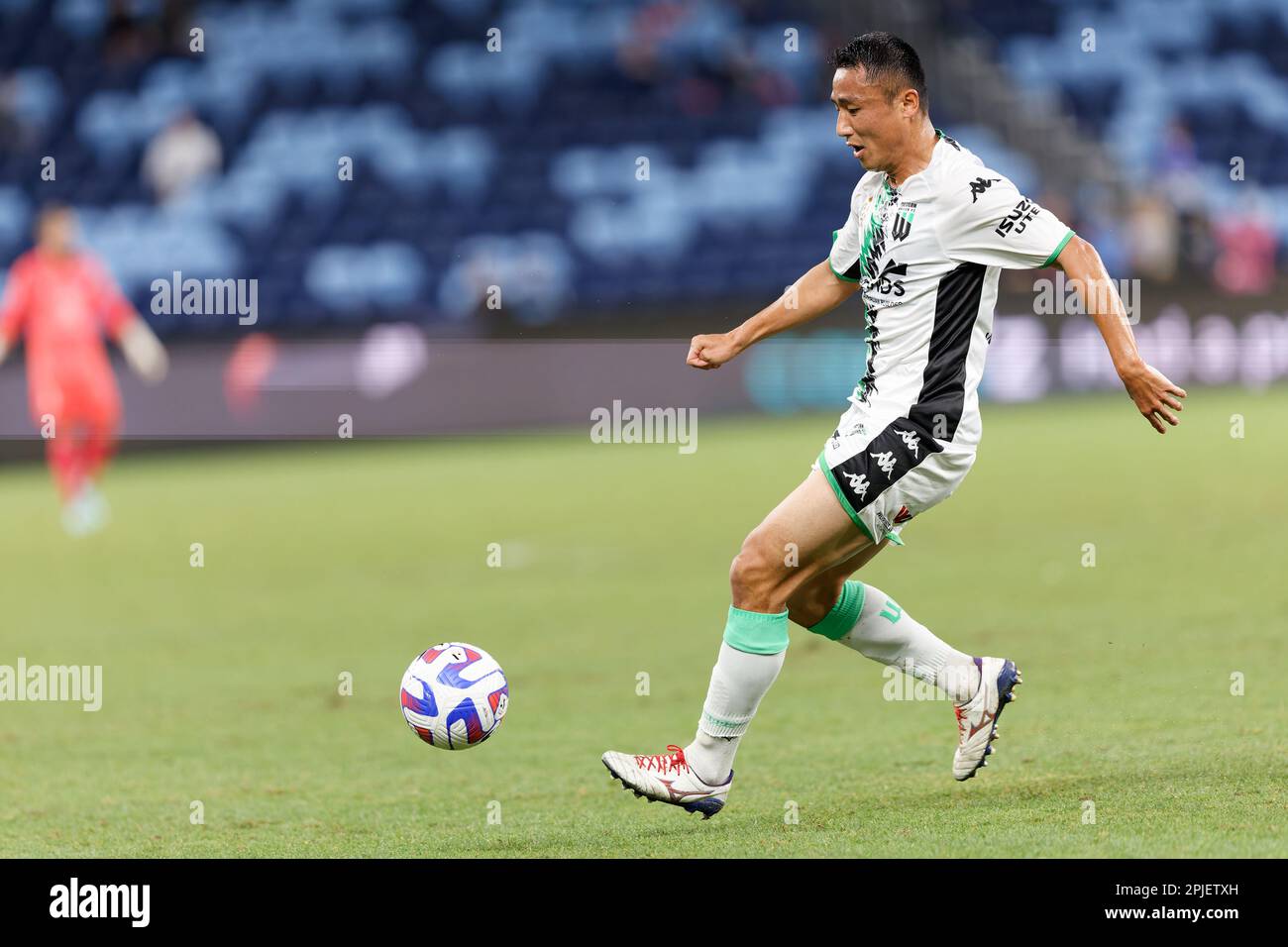 Sydney, Australia. 01st Apr, 2023. Tomoki Imai of Western United ...