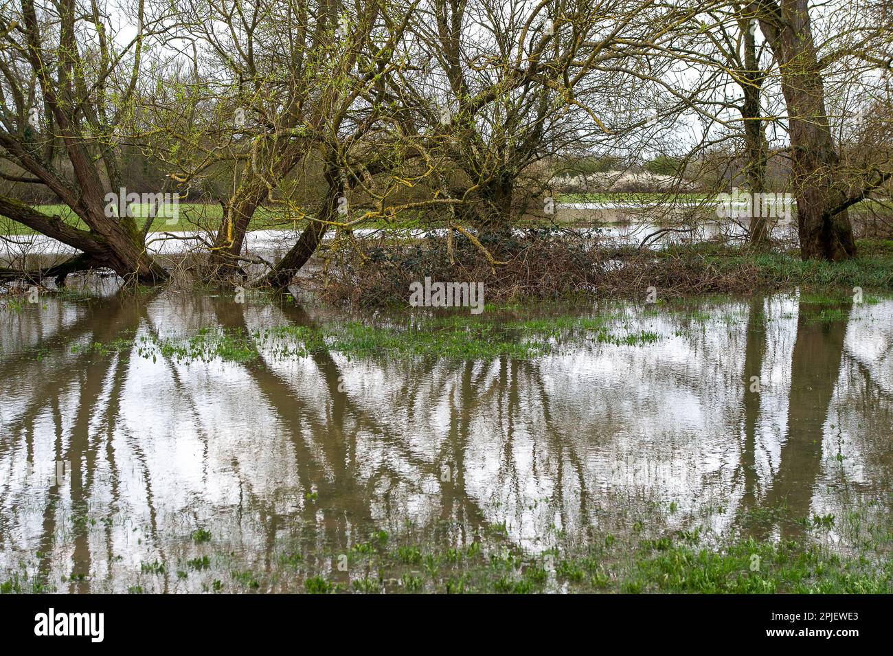 Maidenhead, Berkshire, UK. 2nd April, 2023. Parts of Ockwells Park in ...