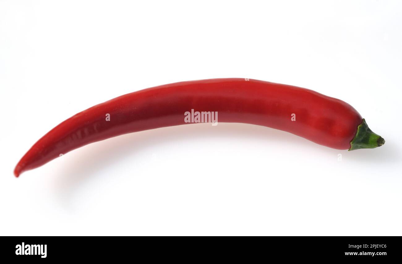 Chili Peperoni ist eine scharfe Kraeuterpflanze und wird in der Kueche ...