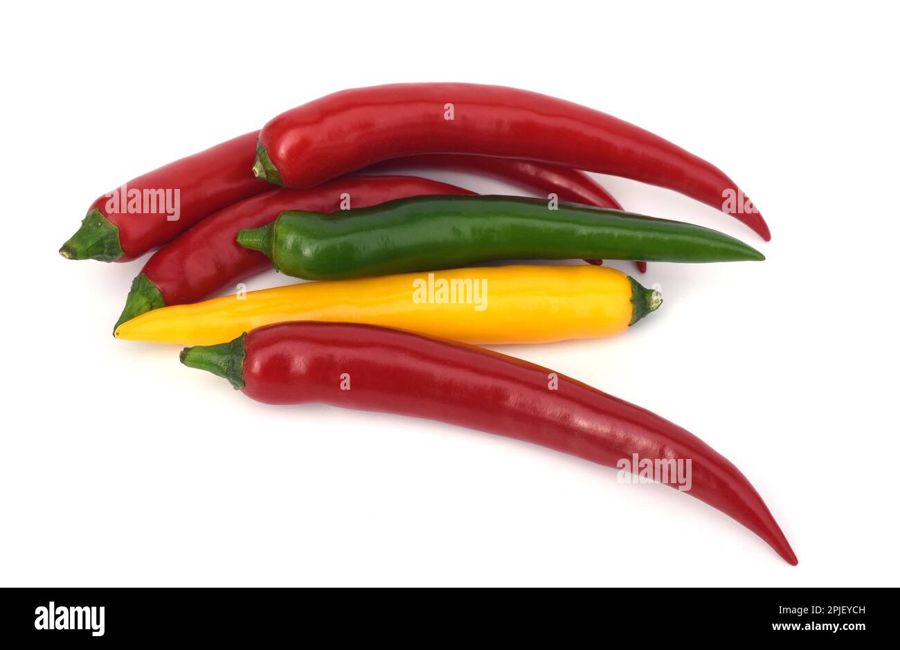 Chili Peperoni ist eine scharfe Kraeuterpflanze und wird in der Kueche ...