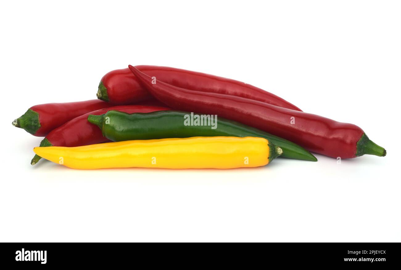 Chili Peperoni ist eine scharfe Kraeuterpflanze und wird in der Kueche ...