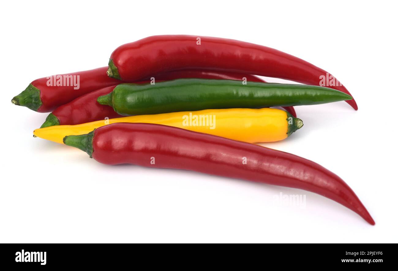 Chili Peperoni ist eine scharfe Kraeuterpflanze und wird in der Kueche ...