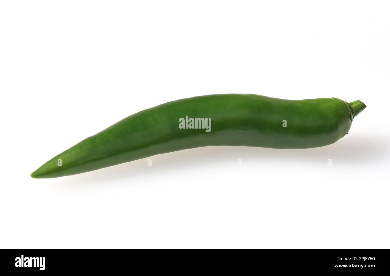 Chili Peperoni ist eine scharfe Kraeuterpflanze und wird in der Kueche ...