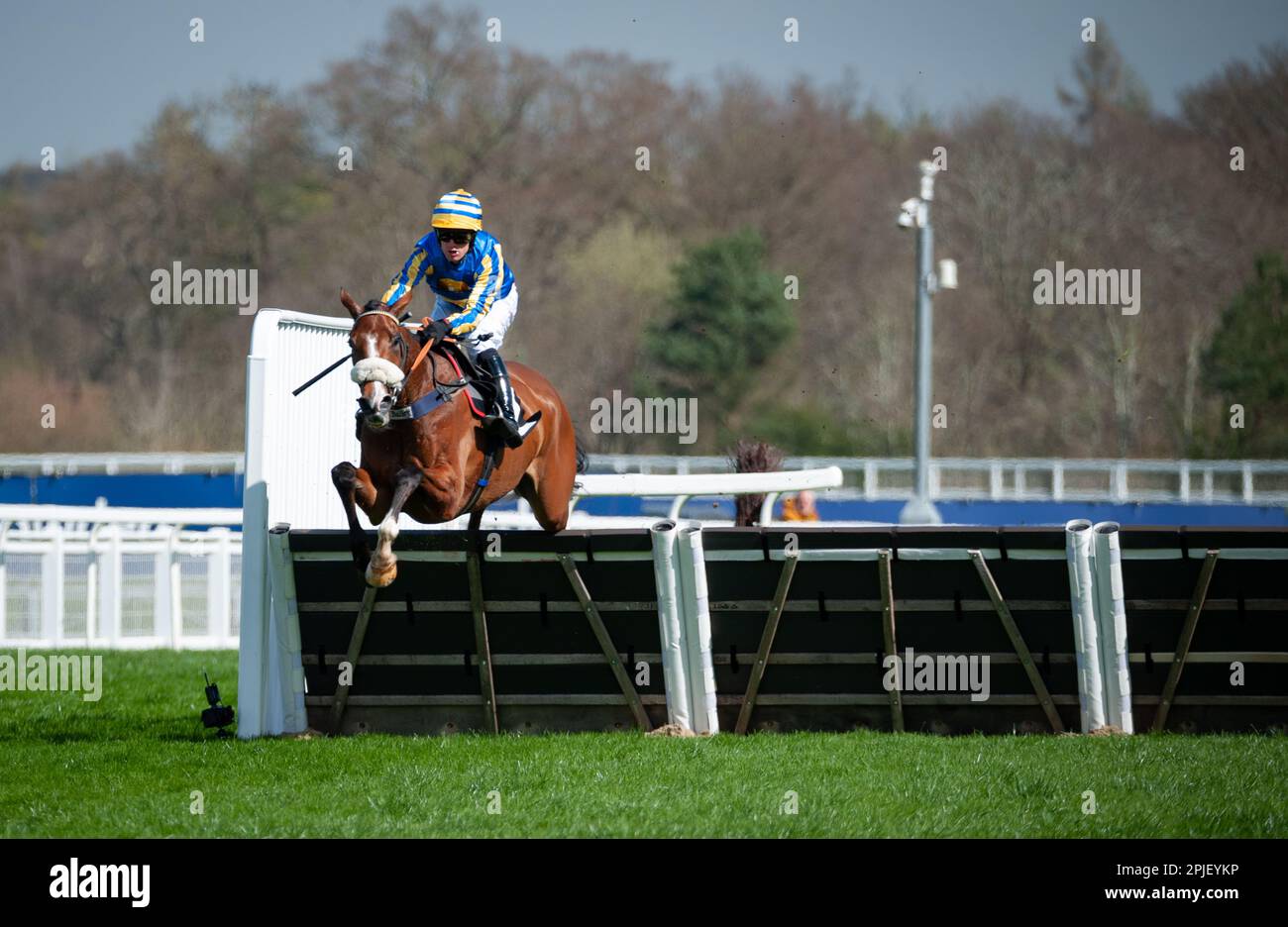Ascot, UK. 02nd Apr, 2023. El Rio and David Bass win the Ascot ...