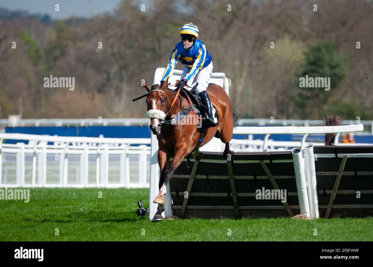 Ascot, UK. 02nd Apr, 2023. El Rio and David Bass win the Ascot ...