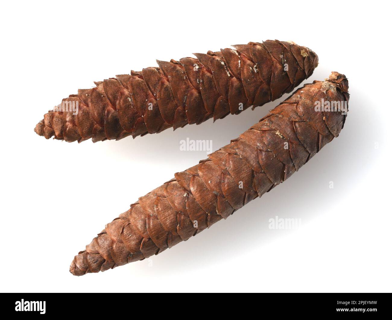 50 krone Cut Out Stock Images & Pictures - Alamy