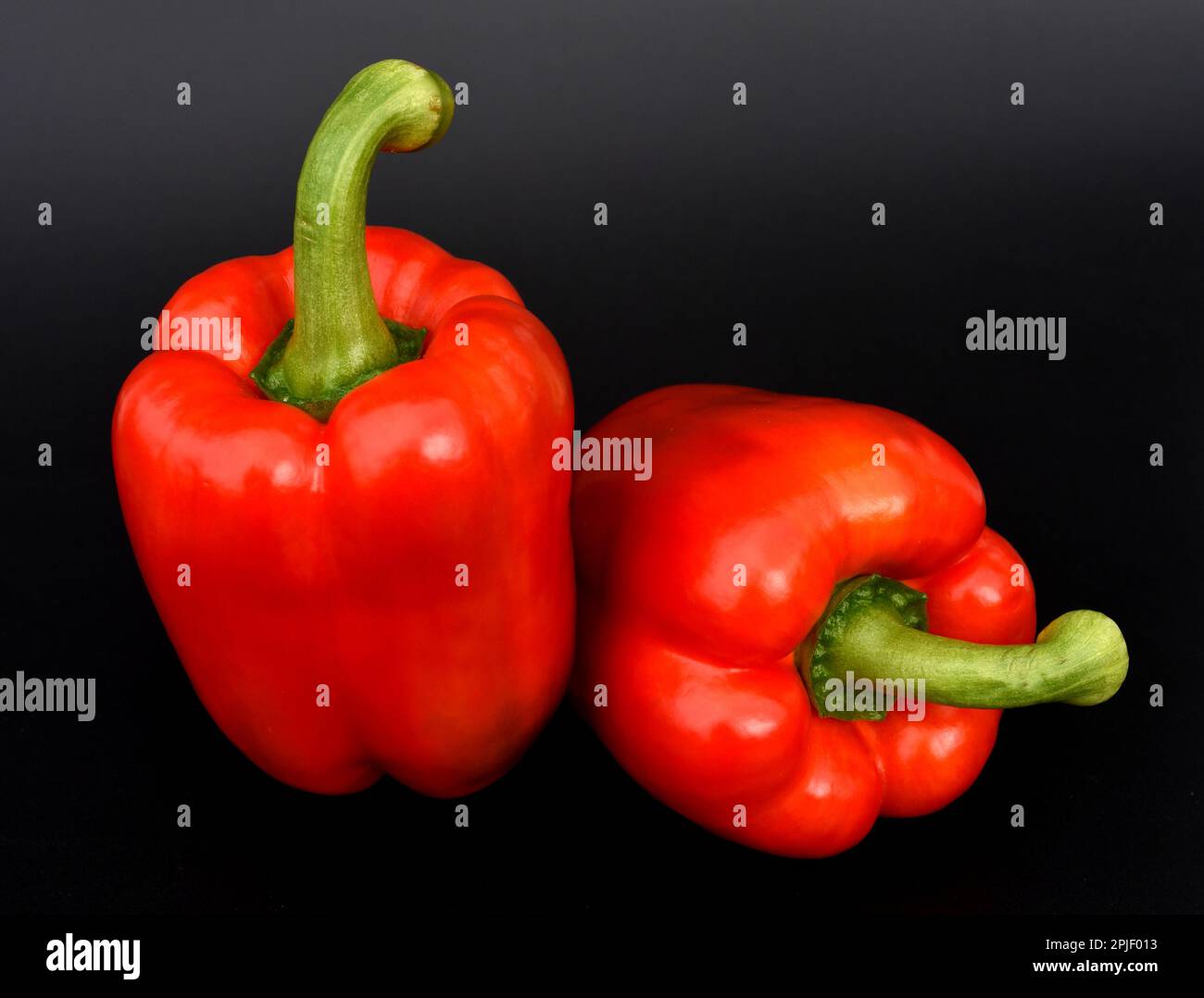 Paprika, Capsicum annuum ist eine Gemueseart die zum Teil recht scharf ...