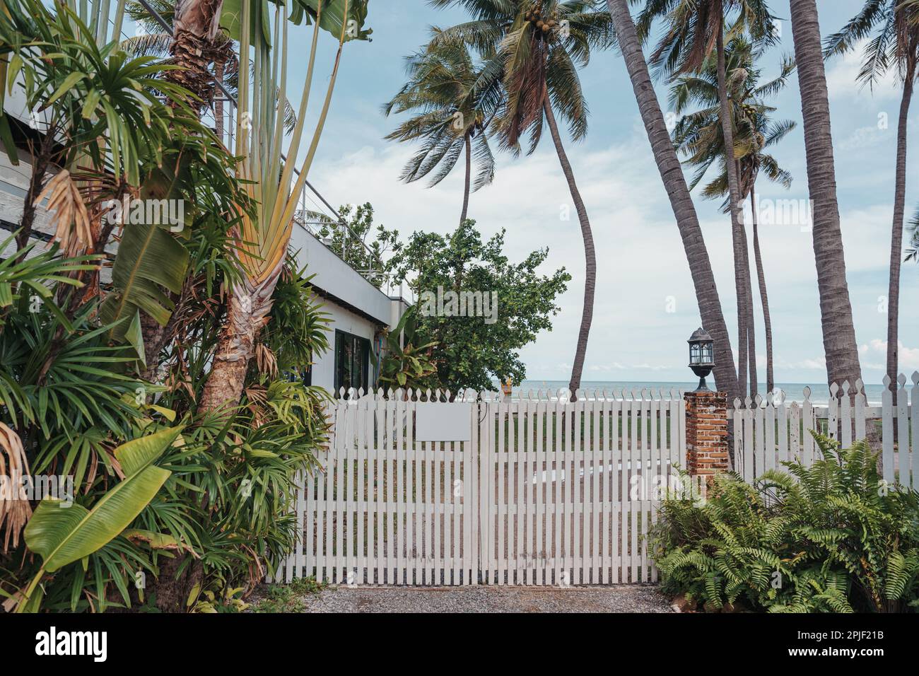 Tropical green garden with wooden white fence on backyard at coastline ...