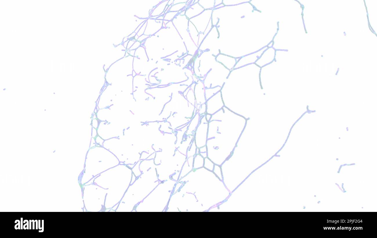 Wet render hi-res stock photography and images - Alamy