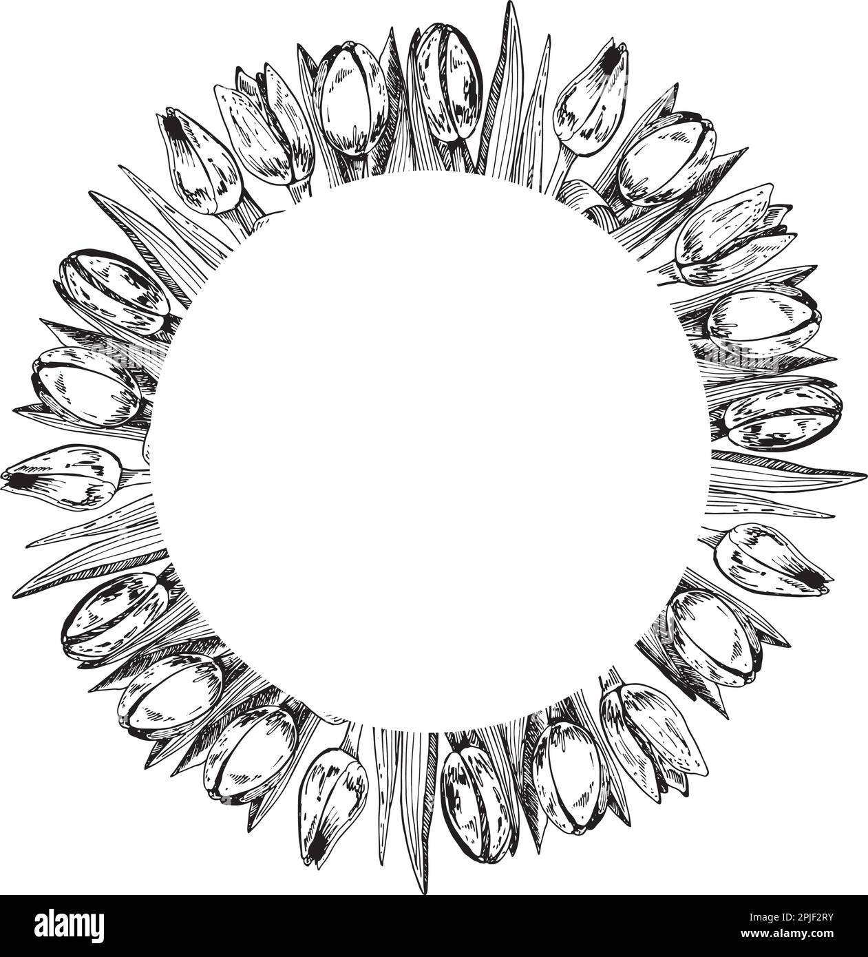 Seamless round border with hand drawn tulips sketch style, vector ...