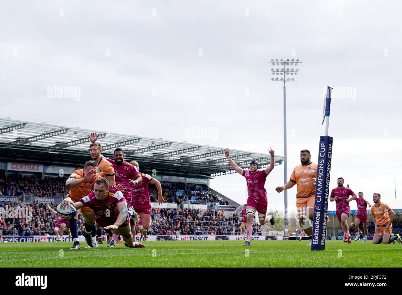Exeter pabest hi-res stock photography and images - Alamy