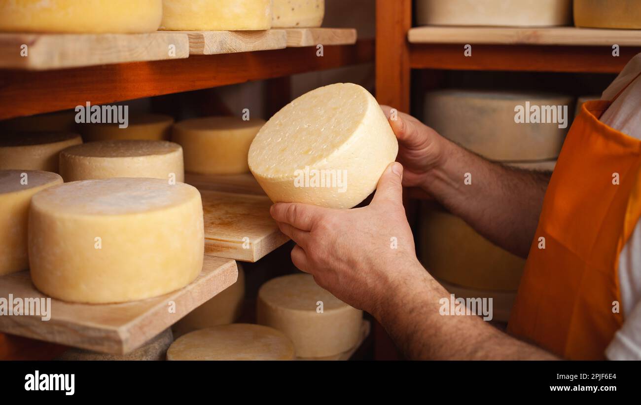 A man cheesemaker in the cellar, beautiful wooden shelves with a ready ...