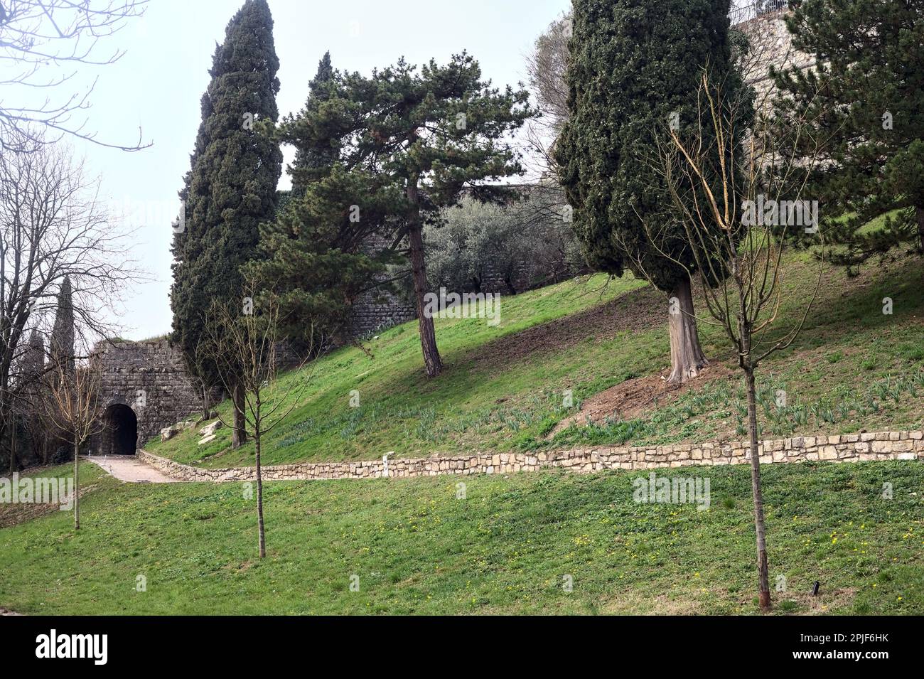 Trees on a slope next to a boundary wall in a park on a cloudy day ...
