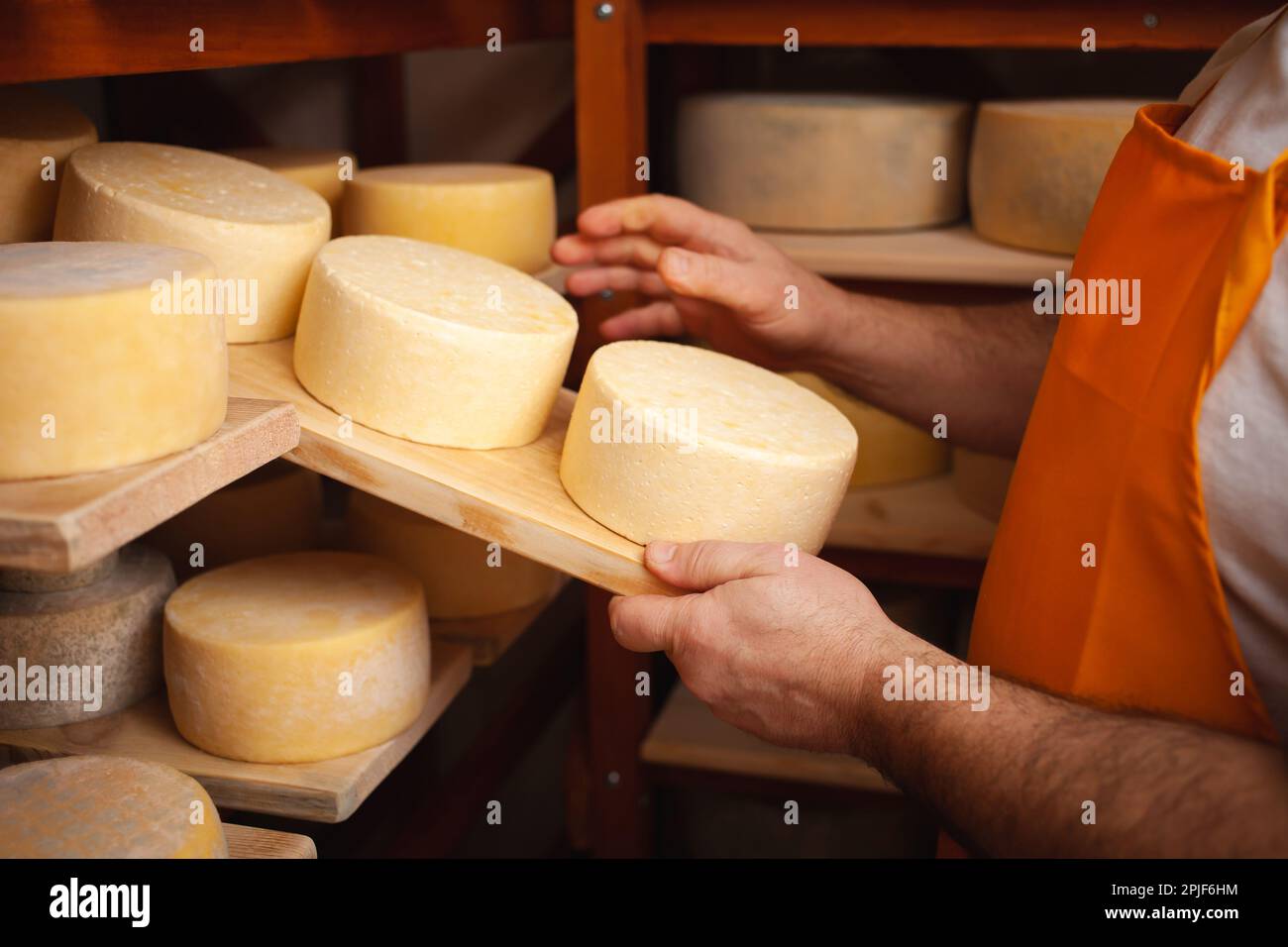 A man cheesemaker in the cellar, beautiful wooden shelves with a ready ...