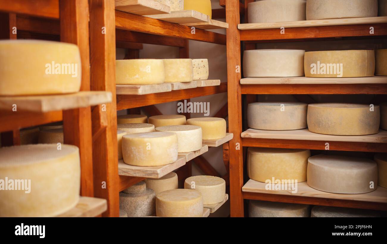 Wooden shelves in the basement, cellar with round cheese. Home ...