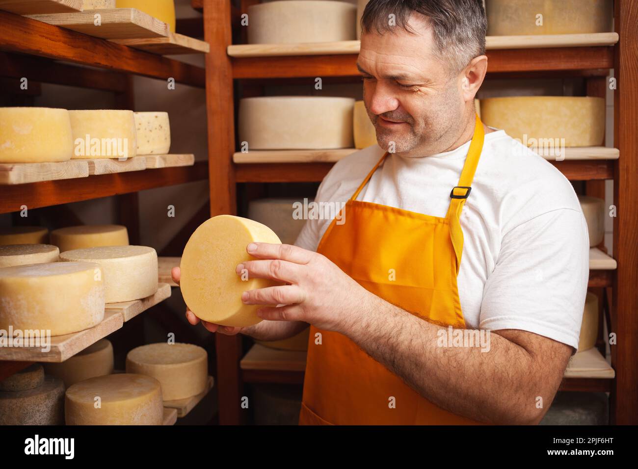 A man cheesemaker in the cellar, beautiful wooden shelves with a ready ...