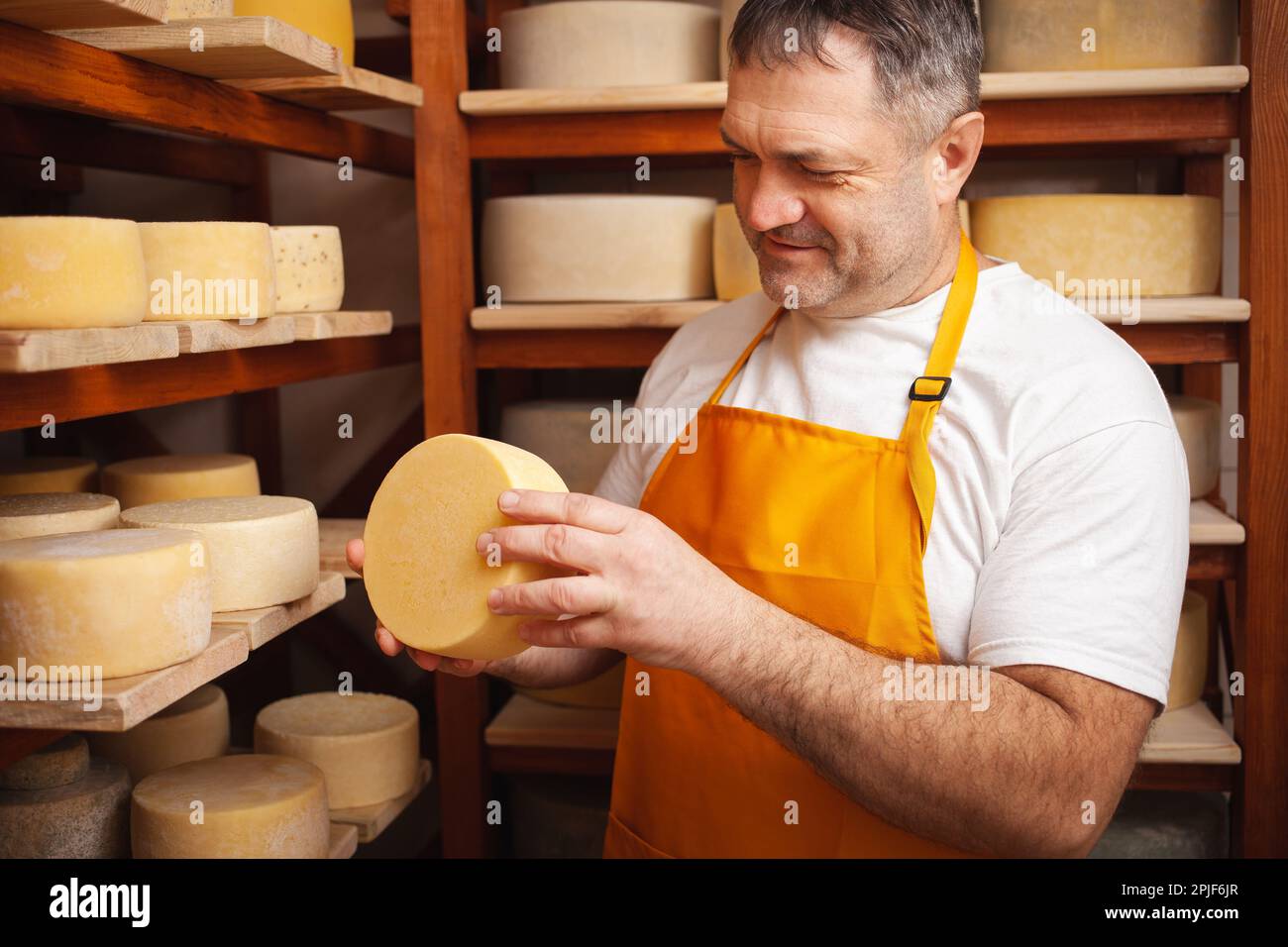 A man cheesemaker in the cellar, beautiful wooden shelves with a ready ...