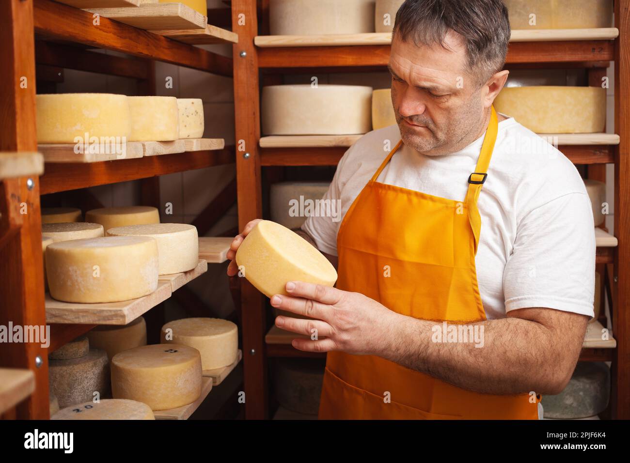 A man cheesemaker in the cellar, beautiful wooden shelves with a ready ...