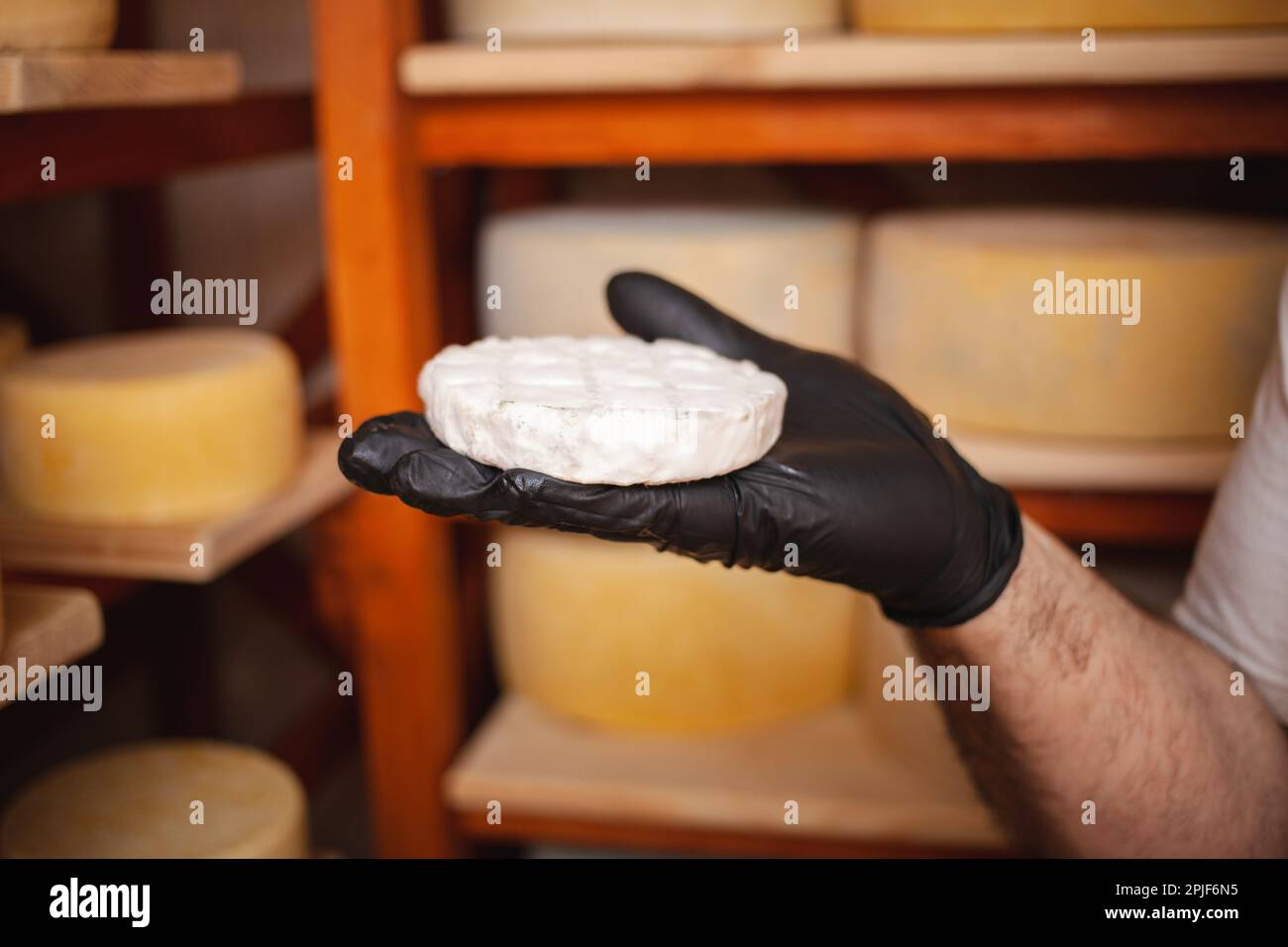 Wooden shelves in the basement, cellar with round cheese. Home ...