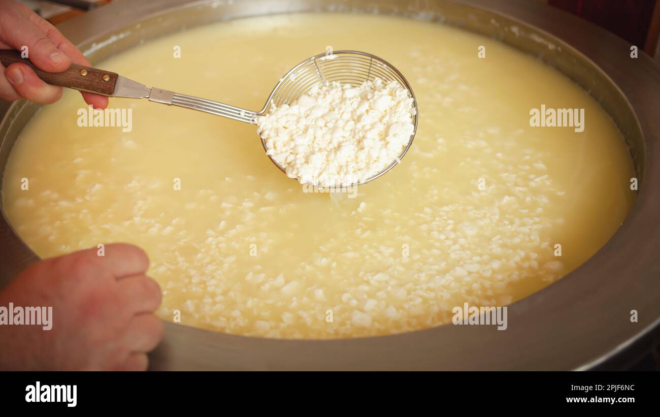 Cheese production from milk, home business, food, eco-friendly and ...