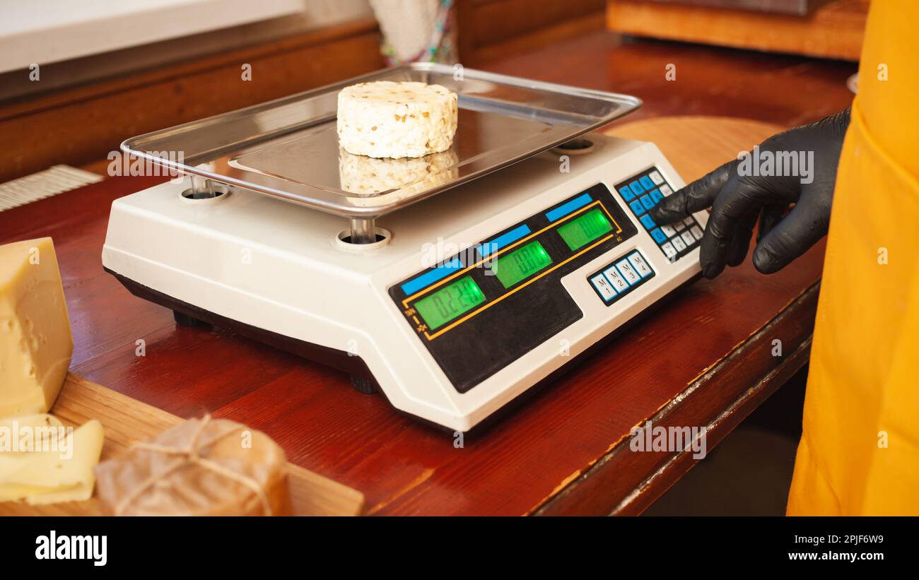 The cheesemaker weighs cheese on scales, home production, business ...