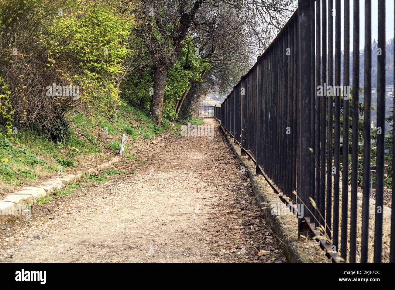 Narrow path next plants bordered by a rail in a park with hills in the ...