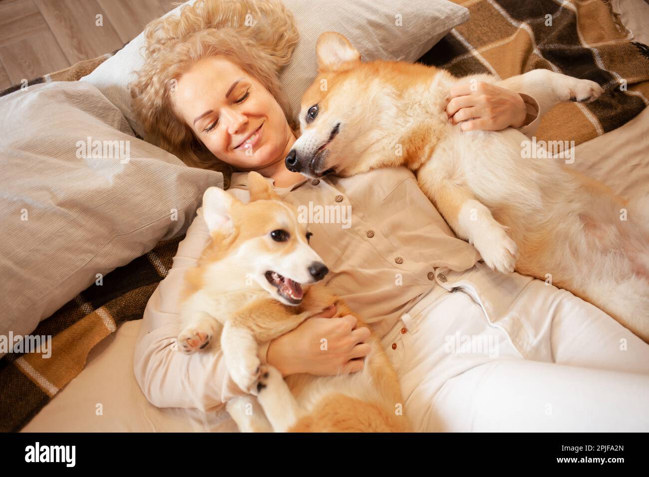 woman and dogs lie on bed, family, smiling. Relax, spend time together ...