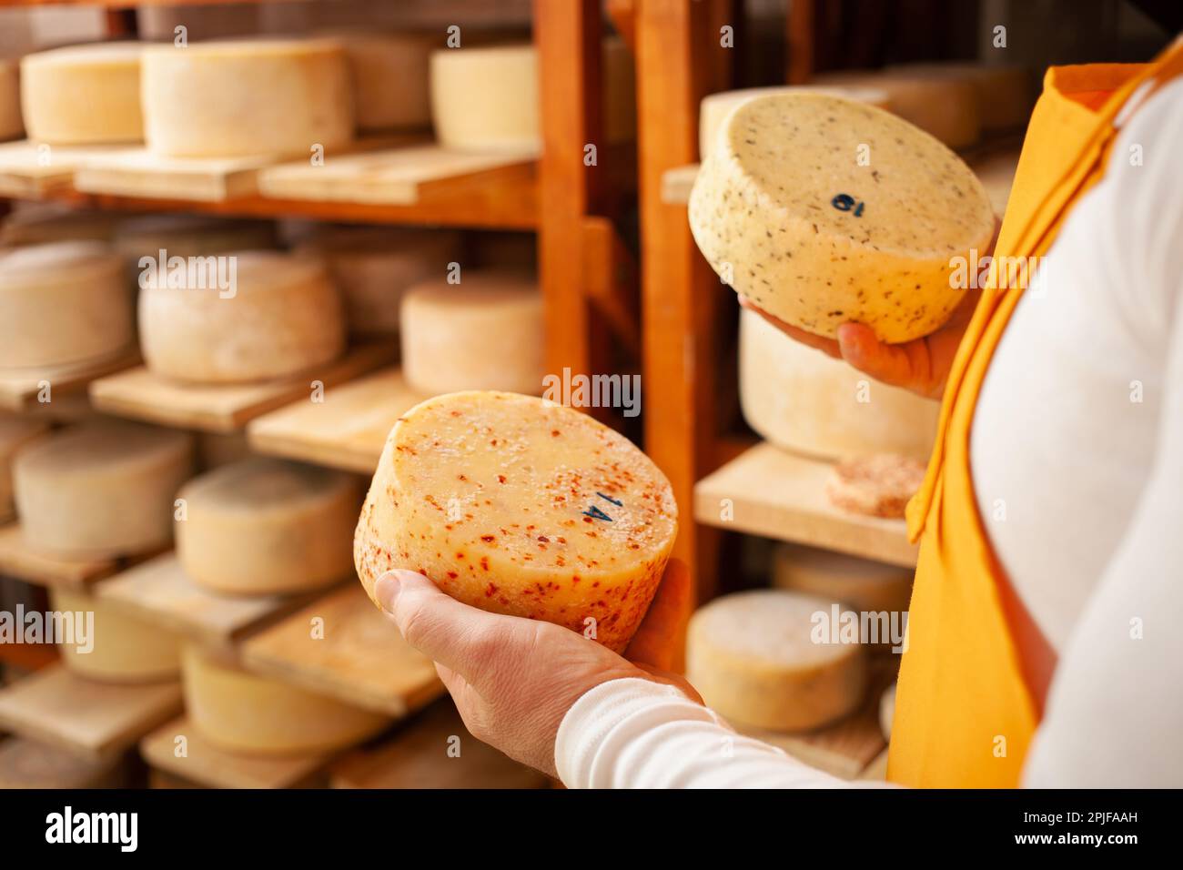 male, man cheese maker businessman, individual entrepreneur, checks ...