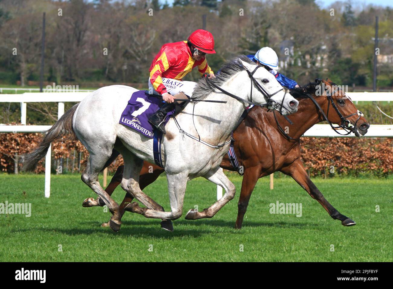 White Birch ridden by jockey Shane Foley (left) wins the P.W.Mcgrath ...