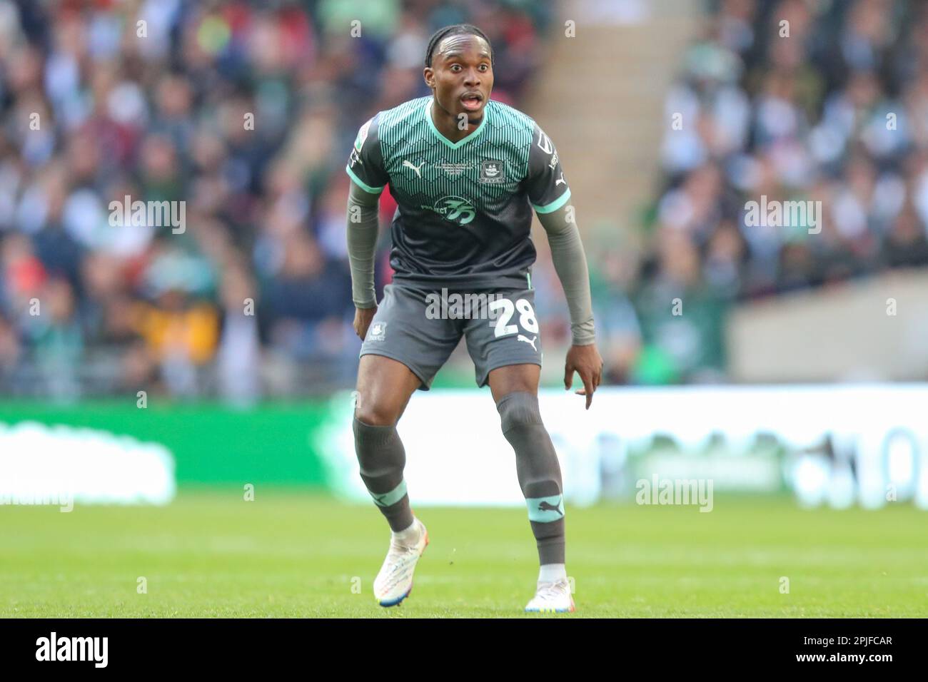 Jay matete hi-res stock photography and images - Alamy