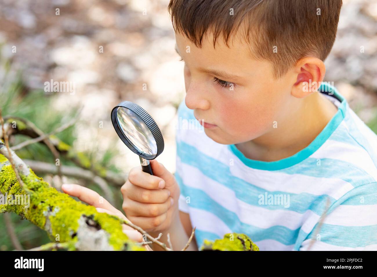 Curious boy is exploring nature with magnifying glass outdoors Stock ...