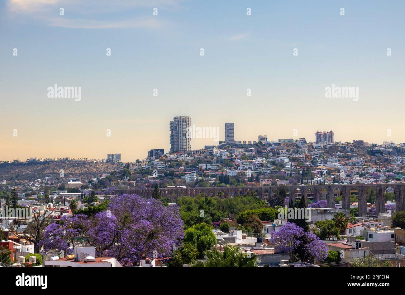 A view of the city of Queretaro Mexico aqueduct with jacaranda tree ...