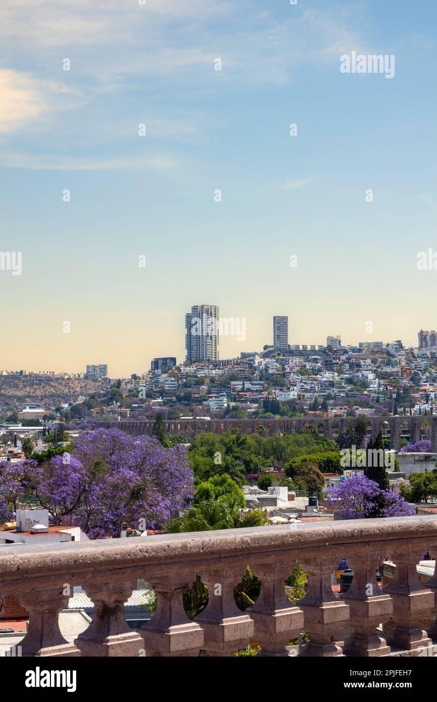 A view of the city of Queretaro Mexico aqueduct with jacaranda tree ...