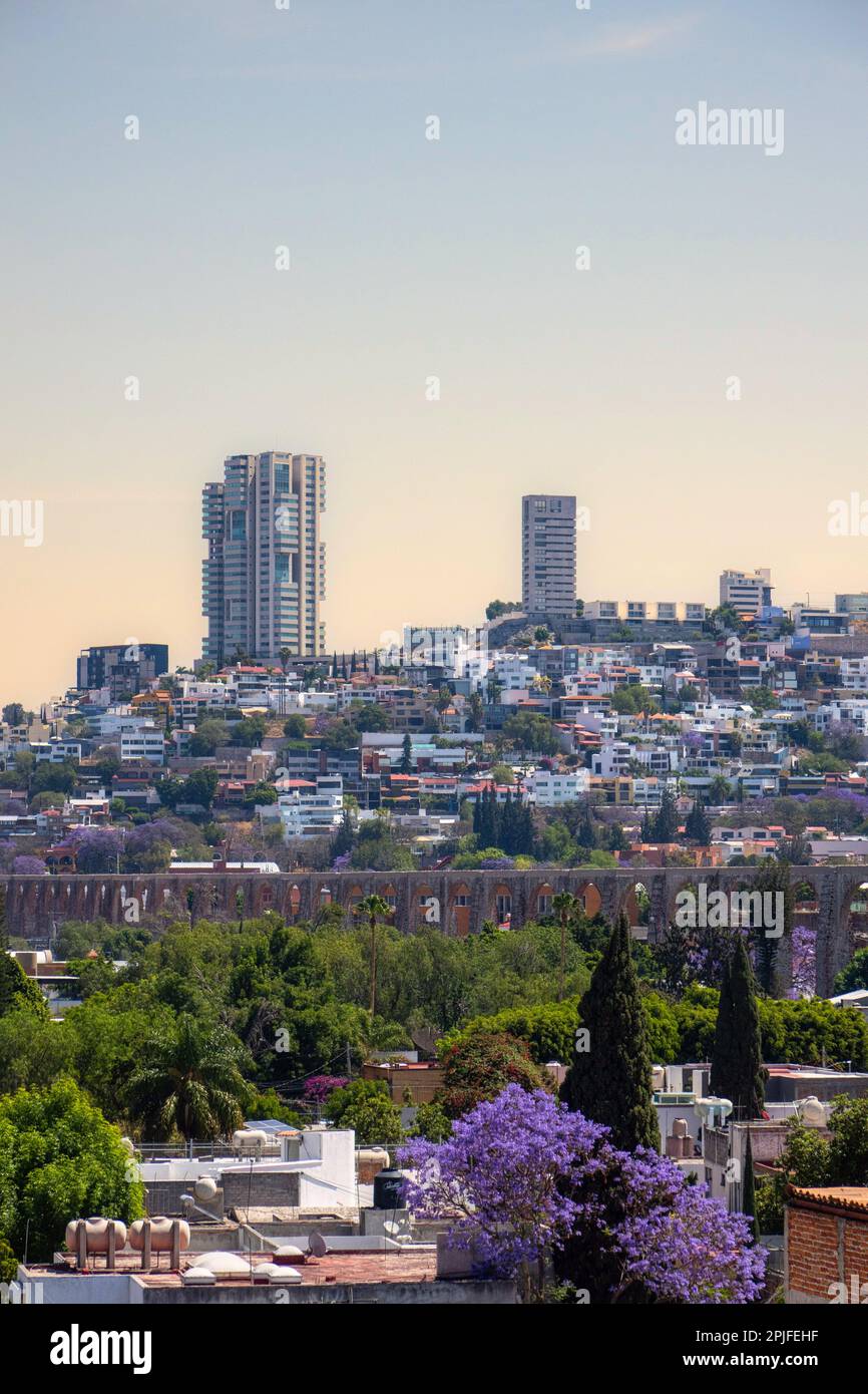A view of the city of Queretaro Mexico aqueduct with jacaranda tree ...