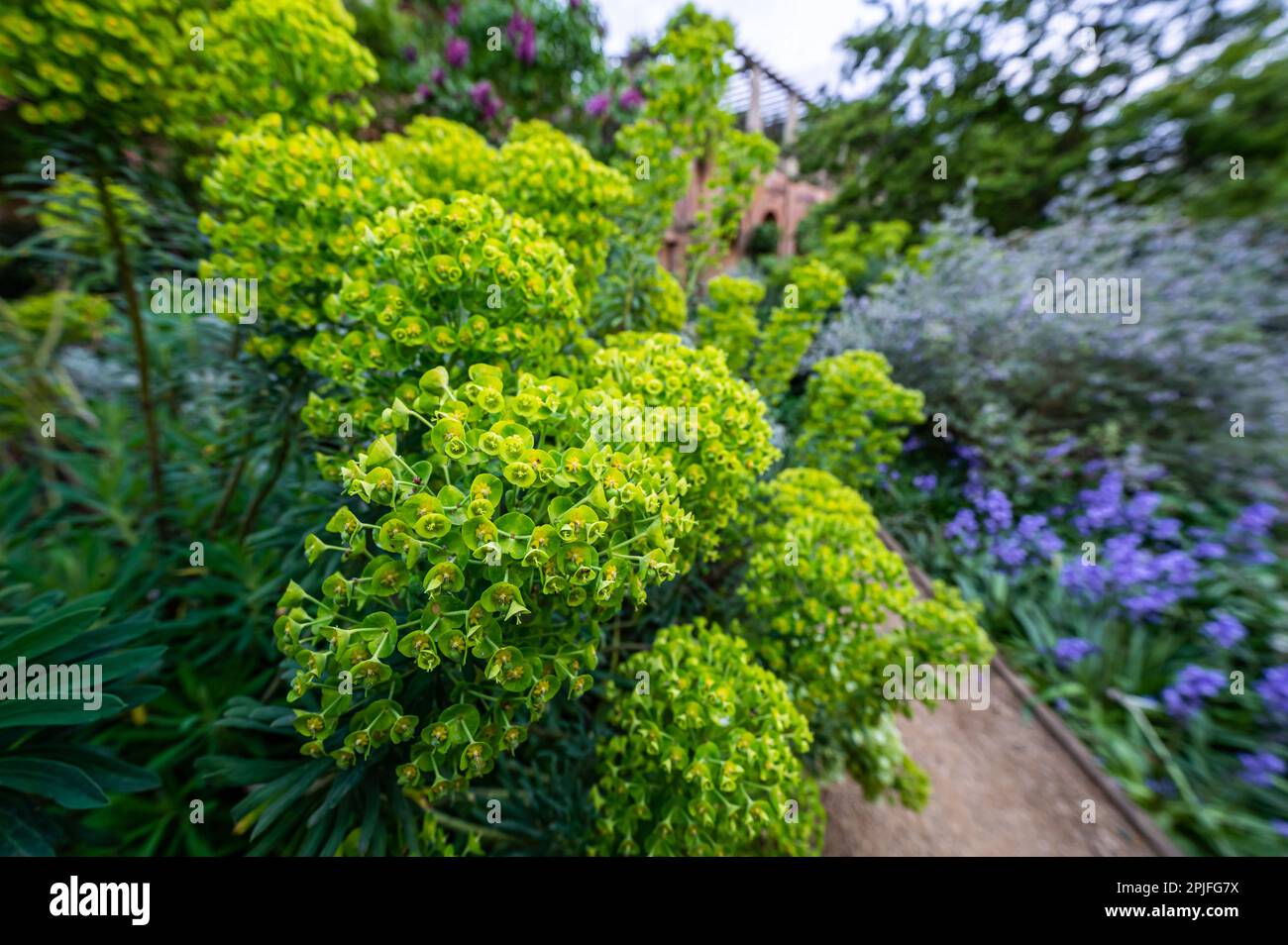 Hampstead Pergola, The Hill Garden, Hill House, Inverforth Close Stock ...